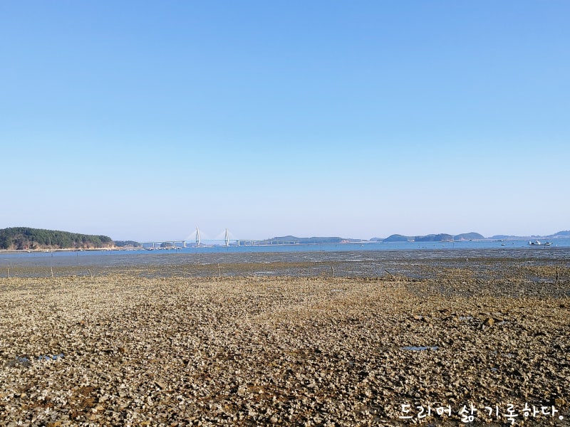 충남 태안 반려견동반펜션 바다가쓴시 펜션 네이버 블로그