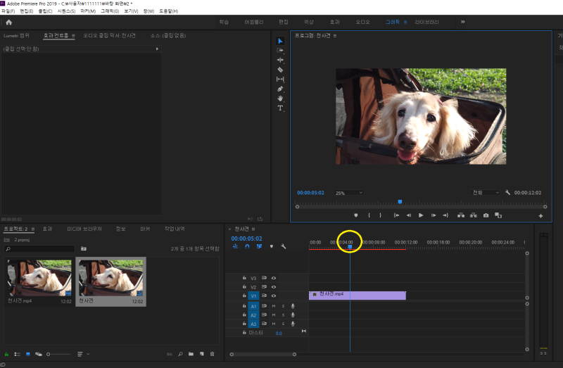 프리미어 프로 자막 텍스트 넣기 Premiere Pro Text 프리미어 기초 자막 글자 쓰기 방법 상세 네이버 블로그