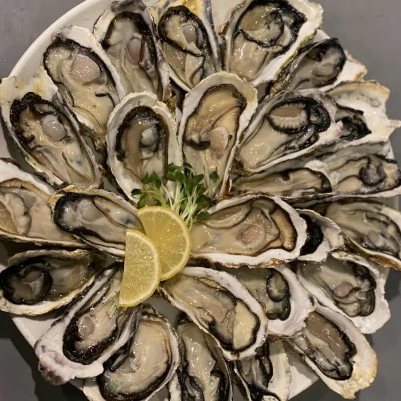 천안맛집 물고기어시장 천안 두정동 천안할인 네이버 블로그
