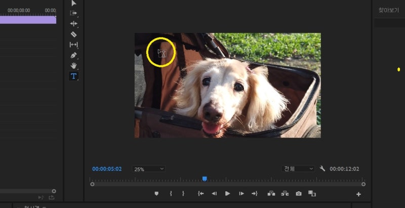 프리미어 프로 자막 텍스트 넣기 Premiere Pro Text 프리미어 기초 자막 글자 쓰기 방법 상세 네이버 블로그