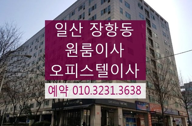 일산 장항동 오피스텔이사 삼라마이다스빌2차 네이버 블로그