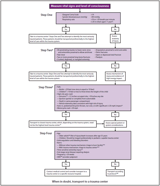 3-2. 손상 환자 현장 분류 지침의 단계 - Step of the Guidelines for Field Triage of ...