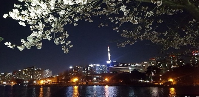 일산 장항동 오피스텔이사 삼라마이다스빌2차 네이버 블로그
