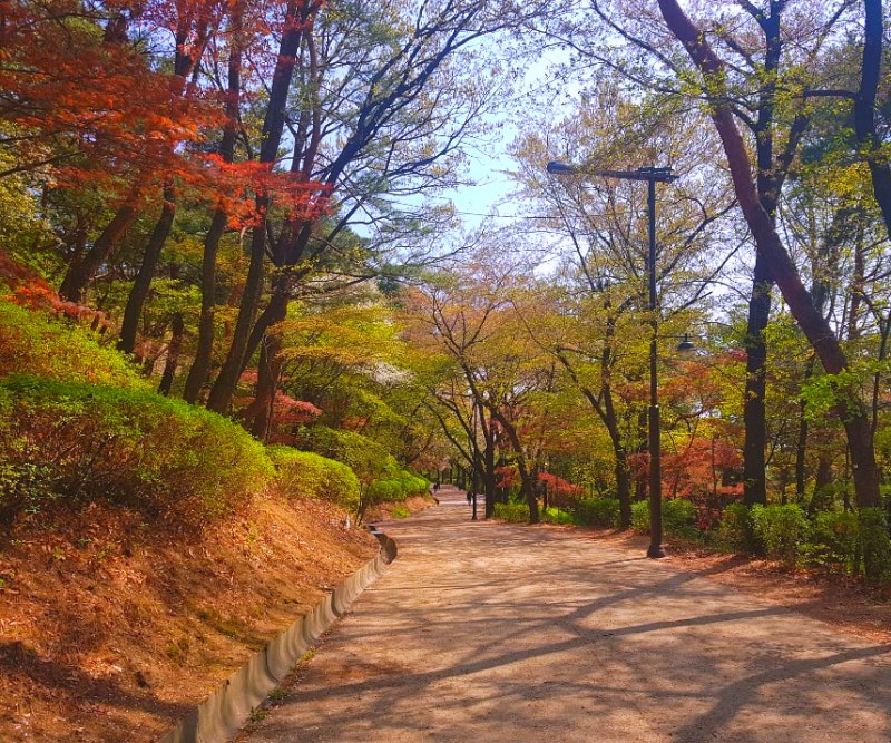 미세먼지측정기 이지테크 에이오 실내공기측정기로 추천해요 네이버 블로그