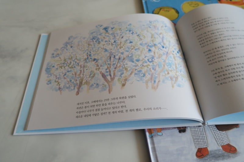 초등저학년 창작추천 키즈스콜레 천개의바람 그림책 베스트 네이버 블로그