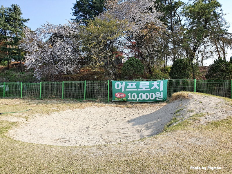 기흥수상골프연습장 단돈 만원에 천연잔디 어프로치 퍼팅 벙커샷 연습 가능 네이버 블로그
