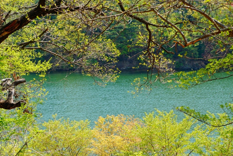 수도권 산행지 청평호 둘레길 · 울업산 신선봉 등산 코스경기도 가평 네이버 블로그