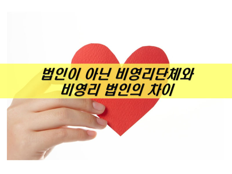 법인이 아닌 비영리단체임의단체 법인 아닌 단체 법인으로 보는 단체와 비영리 법인의 차이 네이버 블로그