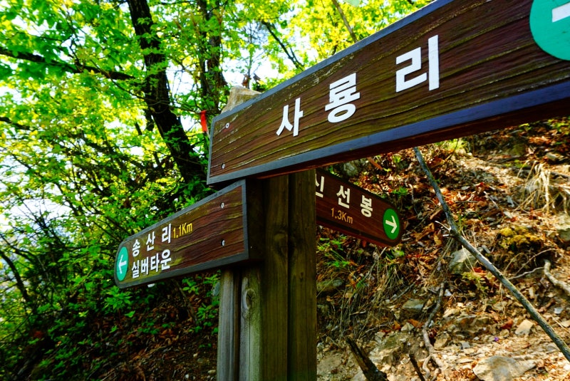수도권 산행지 청평호 둘레길 · 울업산 신선봉 등산 코스경기도 가평 네이버 블로그