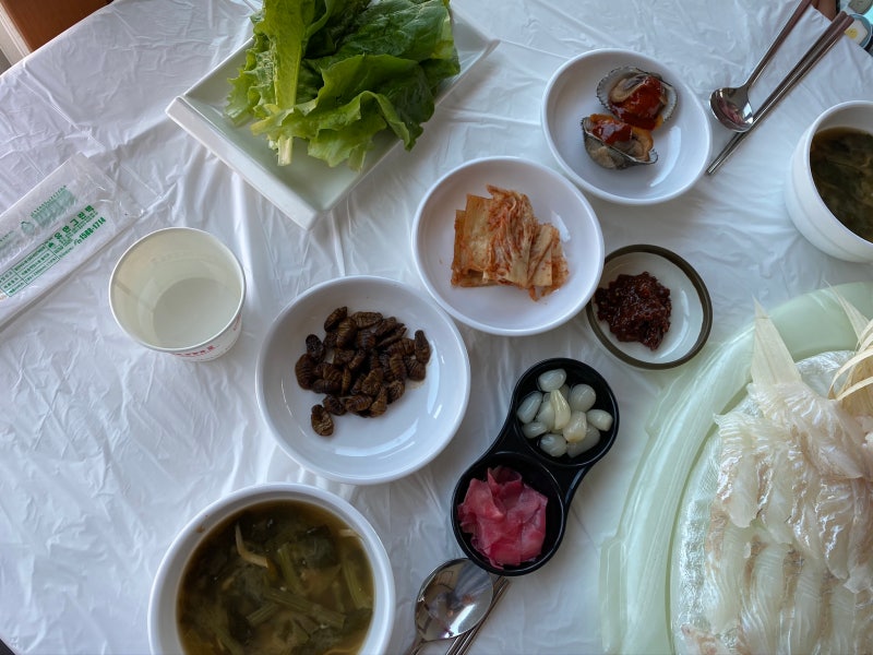 당진 맛집 장고항 해안선횟집 실치와 회가 맛있는 곳 네이버 블로그
