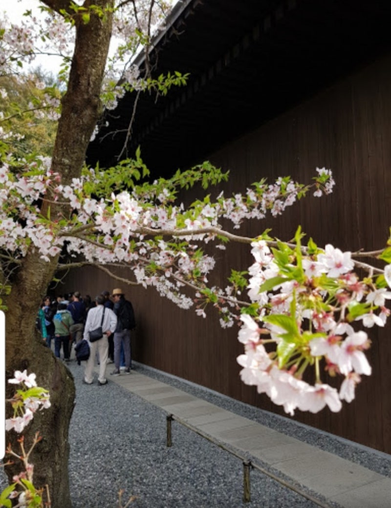 미나미데라. 다다오 안도와 제임스 터렐의 콜라보. tadao ando meets turrell @ minamidera ...
