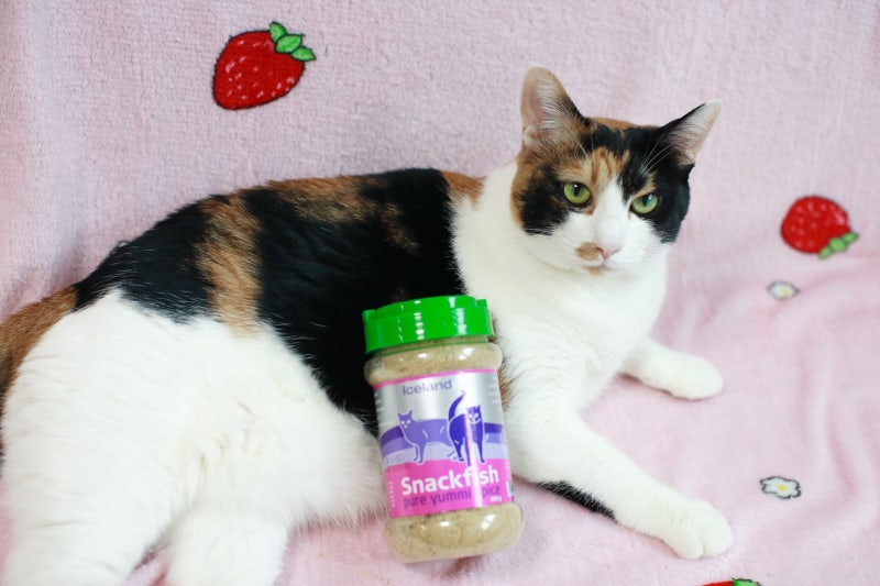 원물 100로 이루어진 고양이 영양제 아이슬란드펫 캣 퓨어 야미스파이스 고양이 영양파우더 네이버 블로그