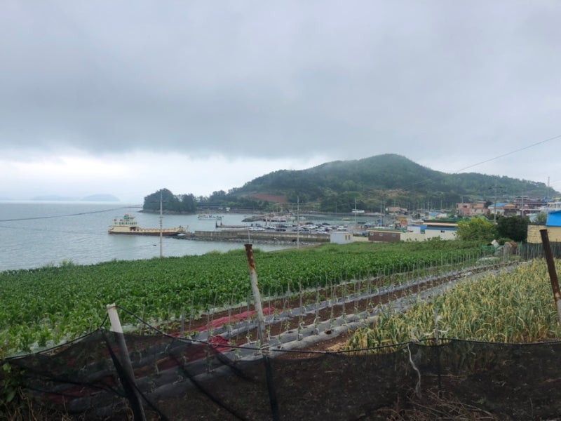 여수 백야도 여수 드라이브코스와 한국인의 밥상 백반 맛집 네이버 블로그