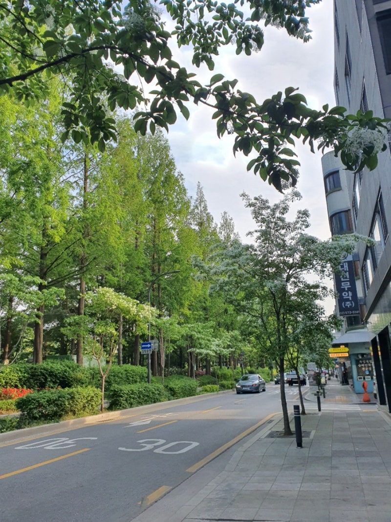 양재역 와인바 분위기 좋은 데이트장소 양재 테라스terrace 추천해요 네이버 블로그