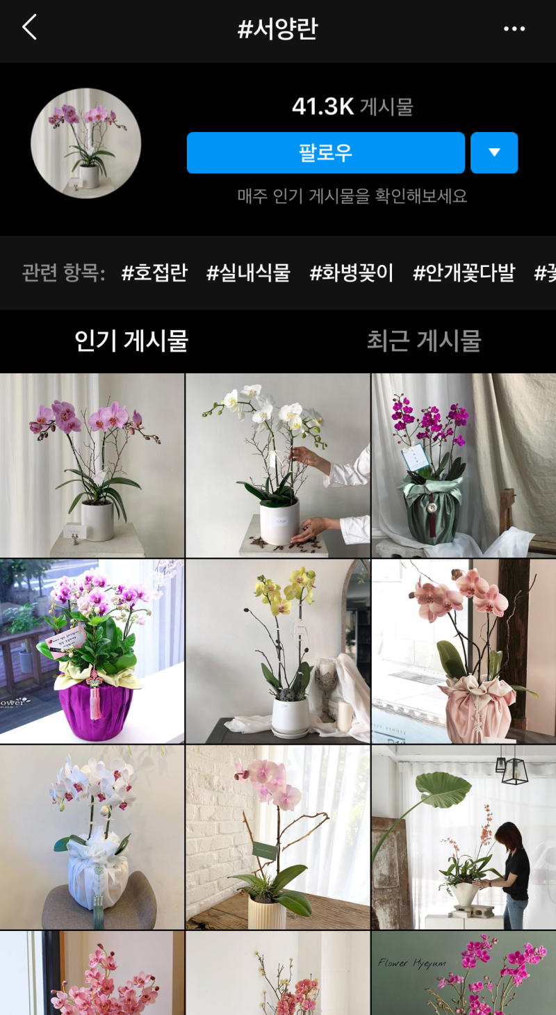 서양란 구매후기 어버이날 선물 추천 네이버 블로그