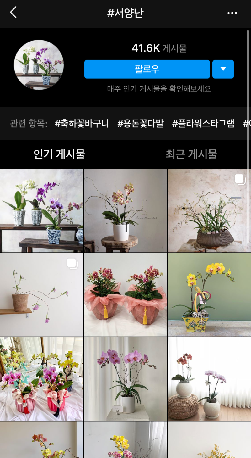 서양란 구매후기 어버이날 선물 추천 네이버 블로그