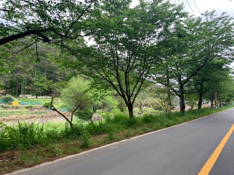 창원 휴양림 오토캠핑장 수정관광농원 차박 캠핑 후기 네이버 블로그