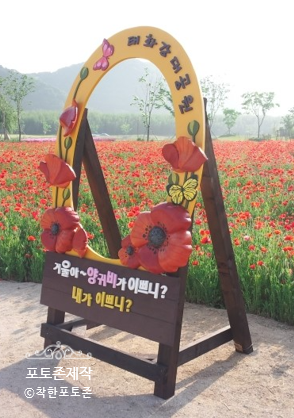 포토존 만들기 가이드 1 - 디자인에 대하여 : 네이버 블로그