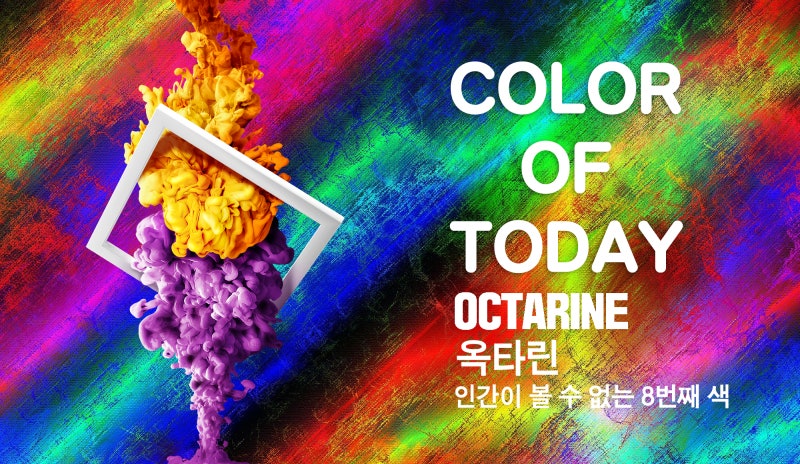 [롬군이의 힐링영상 : 오늘의색] Color of today : Octarine 옥타린 : 네이버 블로그