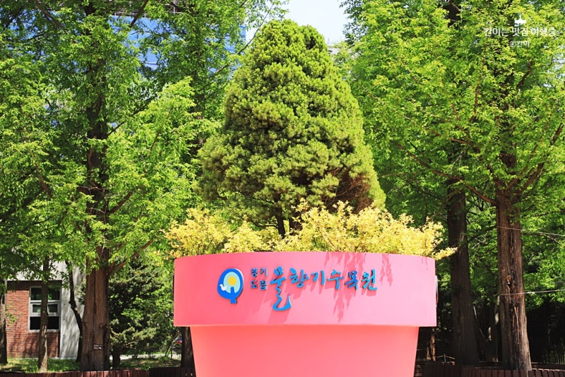 서울 근교 갈만한곳 나들이 장소 좋은 오산 물향기수목원 네이버 블로그