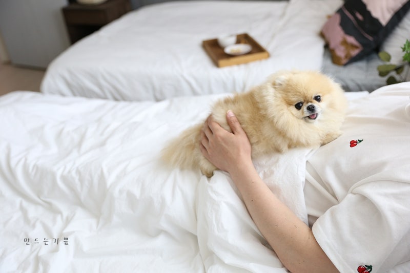 한샘 포엠침대 트윈베드로 부부 침실 인테리어 꾸미기 후기 네이버 블로그