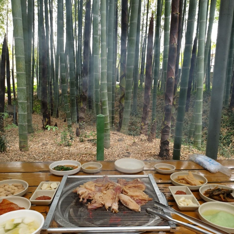 대숲골농원 순천 대나무집 숯불 닭구이 네이버 블로그
