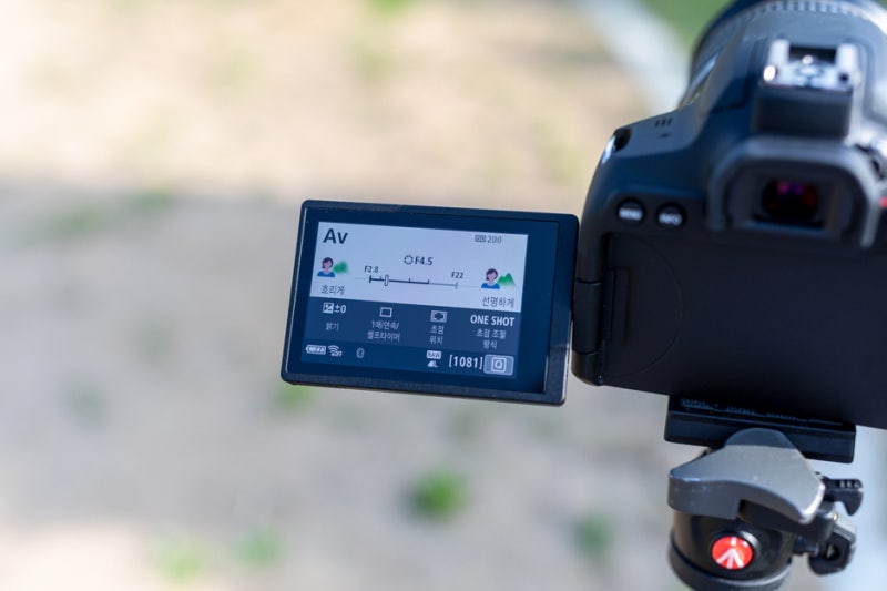 DSLR 카메라 입문용으로 좋은 캐논 EOS 850D, 성능 대박! : 네이버 블로그