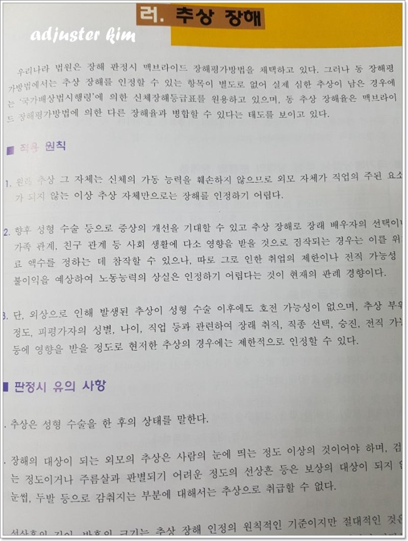 교통사고 추상장해장애맥브라이드 후유장해 손해사정사 네이버 블로그