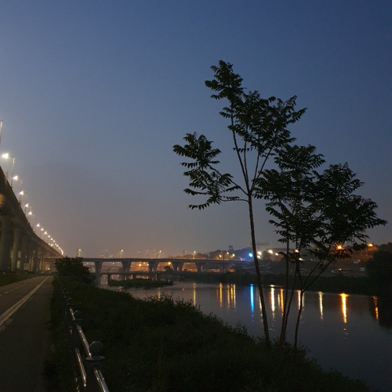 산책일기 일원 에코파크 탄천물재생센터복개공원 풍경사진 네이버 블로그