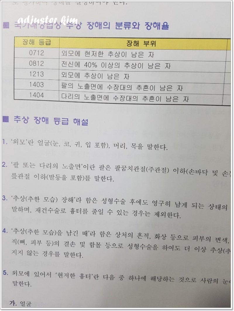교통사고 추상장해장애맥브라이드 후유장해 손해사정사 네이버 블로그