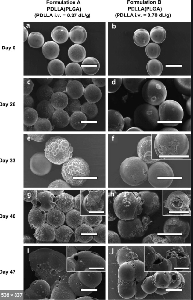 PLA (Polylactic acid), PLLA/PDLLA,스컬트라, 레시나, 주베룩에 대하여 (2) 제품 : 네이버 블로그