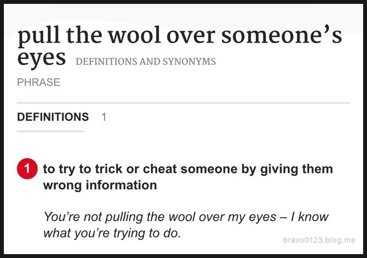 [오늘의표현] pull the wool over your eyes : 네이버 블로그