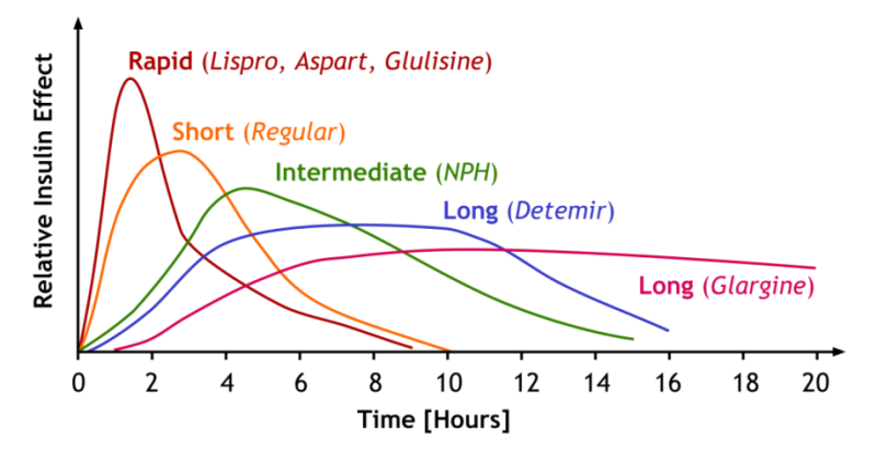 [생체의공학 2강] Case Studies:: Insulin, Hepatitis B-vaccine : 네이버 블로그