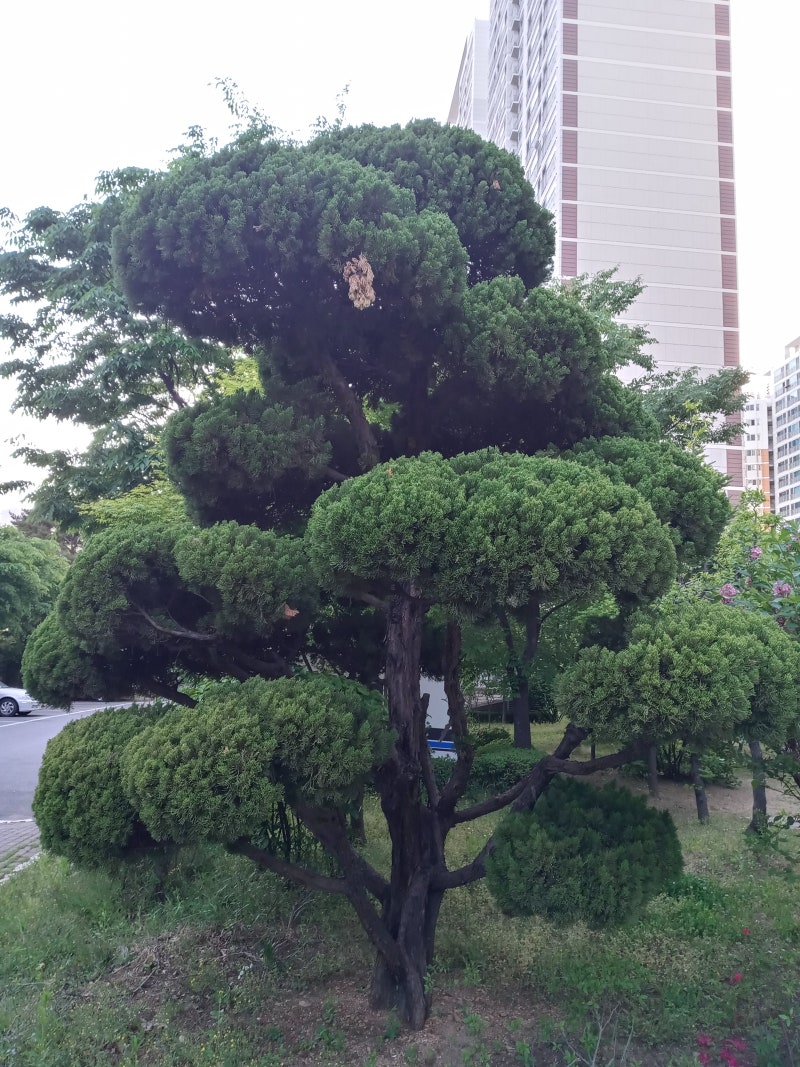자동차 명의이전 방법 서류 비용 누구나 쉽게 이해하기 네이버 블로그