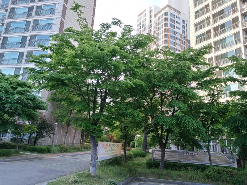 자동차 명의이전 방법 서류 비용 누구나 쉽게 이해하기 네이버 블로그