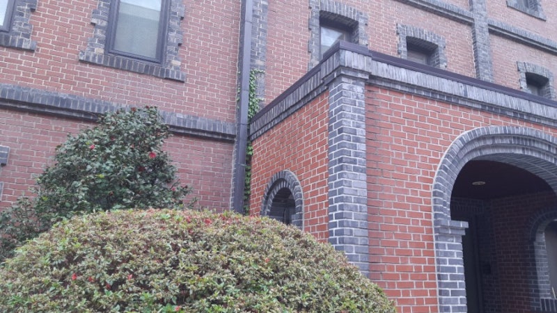 커피 마신후 명동 산책 : 네이버 블로그