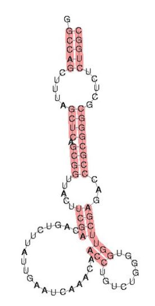 Vault complex : 네이버 블로그