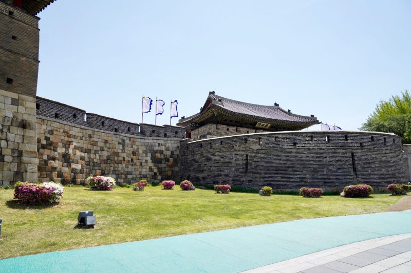암 요양병원의 중심 메디움수원요양병원 수원 화성 성곽길 산책로 네이버 블로그