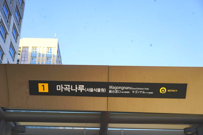 서울식물원 맛집 마곡나루 점심 여수낭만식당♡ 네이버 블로그
