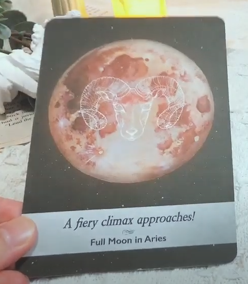 문올라지 오라클 한글해설 | 풀문 카드 (Full Moon cards) | MOONOLOGY ORCLE : 네이버 블로그