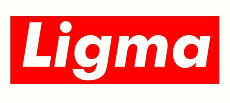 Ligma (리그마) 가 무슨 뜻일까? 영어 정보 / 유머 : 네이버 블로그