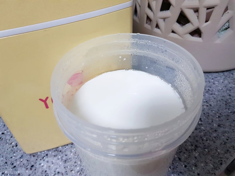 락토프리 우유로 수제 요거트 만들기 요거트 메이커 로이첸 요거트데이 휴럼 요거베리 카스피해 요거트 스타터 강아지 유산균