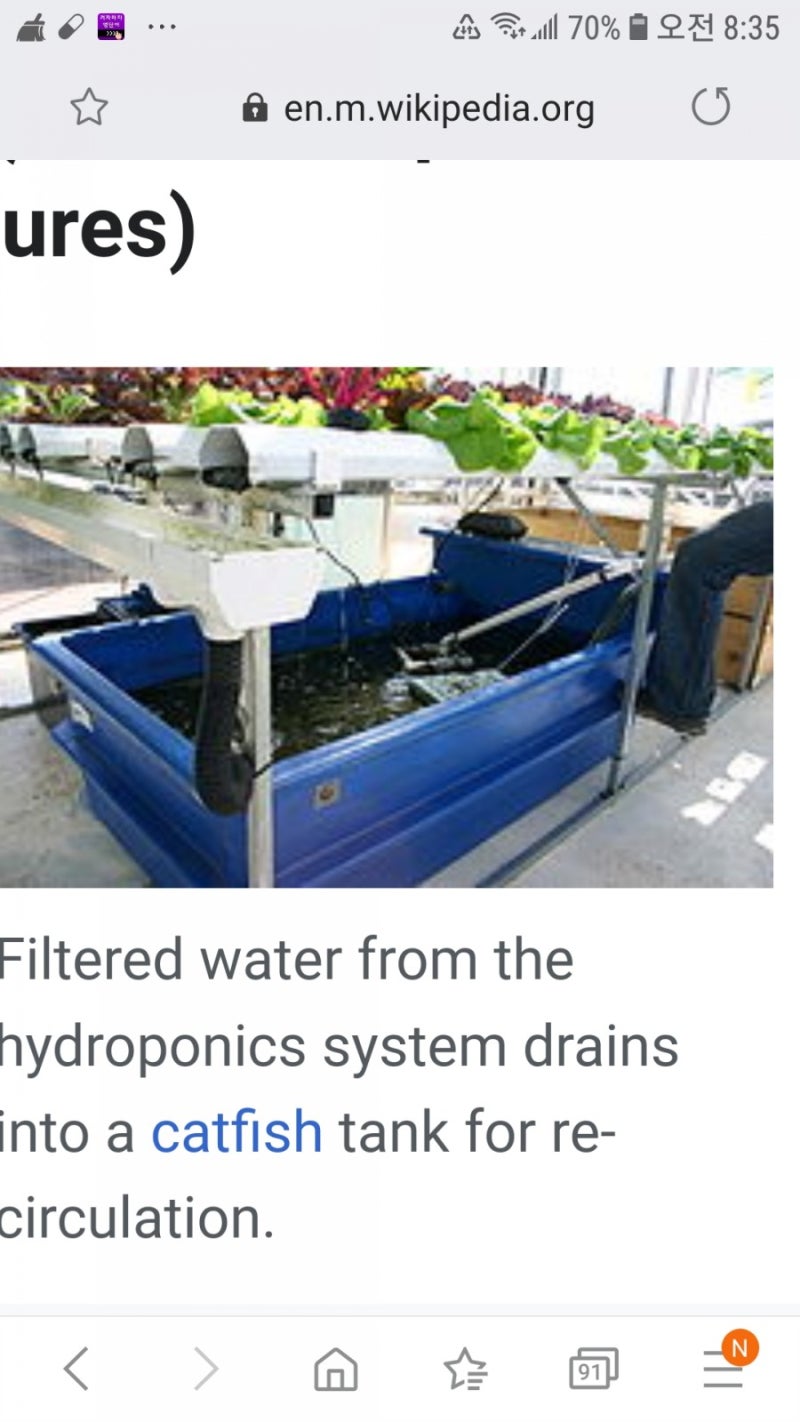 수경재배 Aqua phonics farm installation technology. 아쿠아포닉스 농장 설치기술 : 네이버 블로그