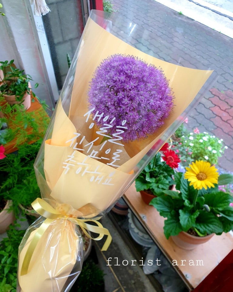 경산꽃집 일상에 예쁜 식물 들이기 해보세요 어버이날 경산꽃배달 장미꽃다발 네이버 블로그