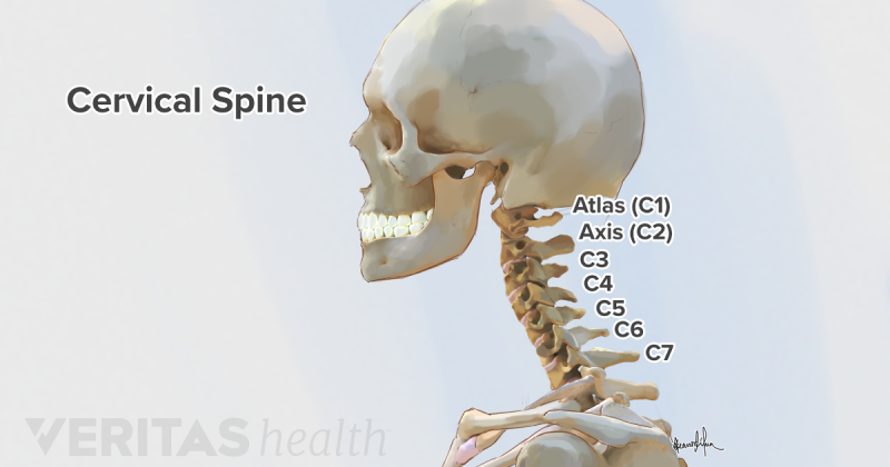 경추(Cervical Spine) 분절의 움직임 : 네이버 블로그