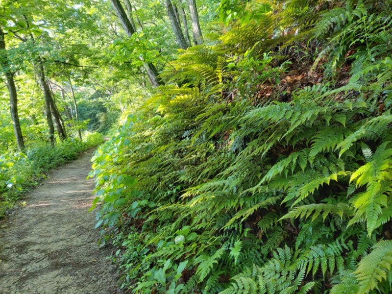 걷기좋은산길,진주명산12루트/가좌산 황토길 맨발걷기 : 네이버 블로그