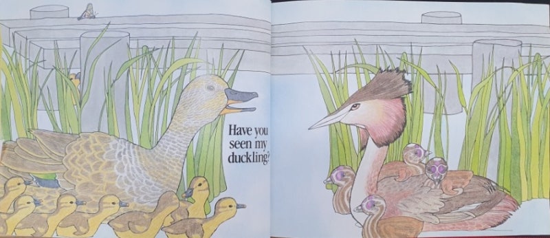 원서공부#17. Have you seen my duckling? (written & illustrated by. Nancy ...