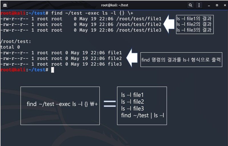 [리눅스 기초]5. 파일 및 디렉토리 검색(+ find -exec {} \; 과 find -exec \+의 차이) : 네이버 블로그