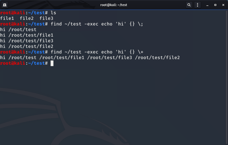 [리눅스 기초]5. 파일 및 디렉토리 검색(+ find -exec {} \; 과 find -exec \+의 차이) : 네이버 블로그
