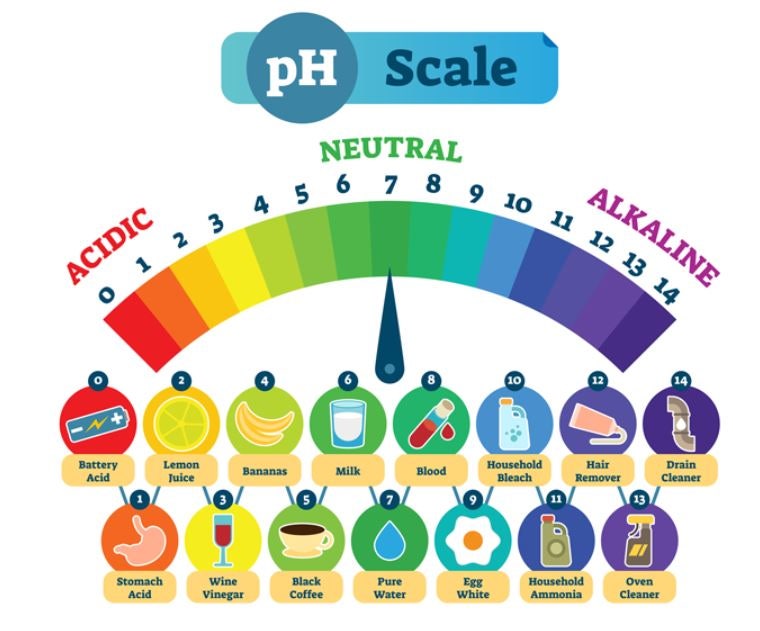 Total CO2(tCO2) 수치와 임상적 의의 : 네이버 블로그
